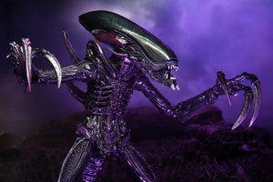 Alien Vs Predator Razor Claws 7" Scale Action Figure